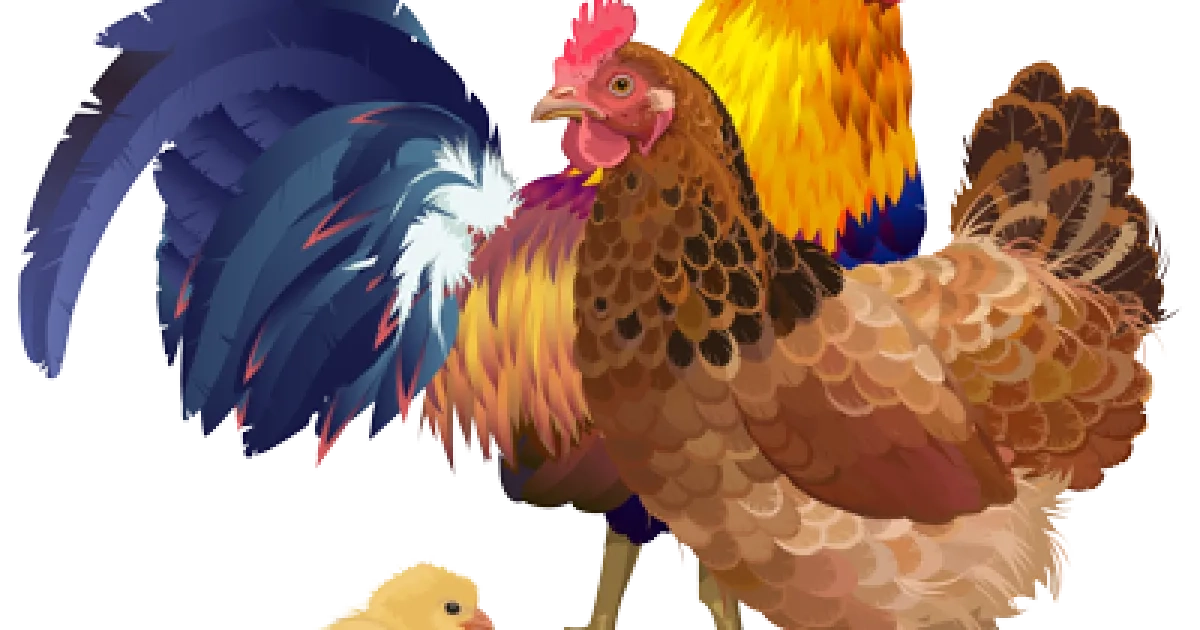Jeu des 10 familles d'animaux de la ferme | Écolothèque de Montpellier