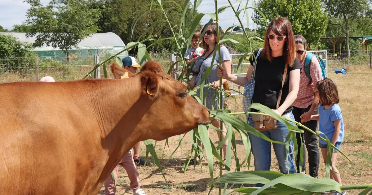 Matinée Parents du centre de loisirs : voilà l’été ! | Écolothèque de ...